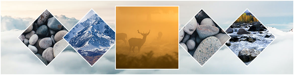 Photostory Deluxe: Simple & Easy! Create Slideshows in Minutes