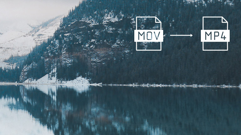 MAGIX Video Software - Schritt für Schritt Anleitungen